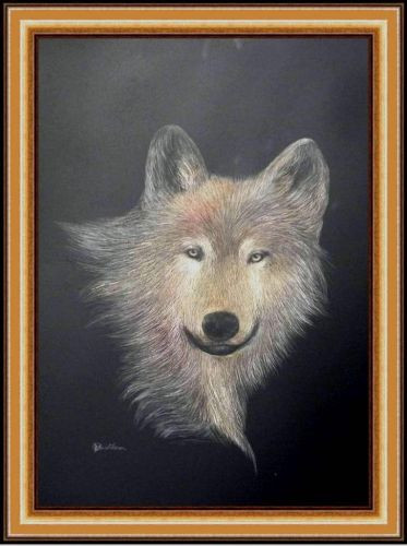 GRAY WOLF (SCRATCH BOARD ORIGINAL) | CullumsWildlifeArt