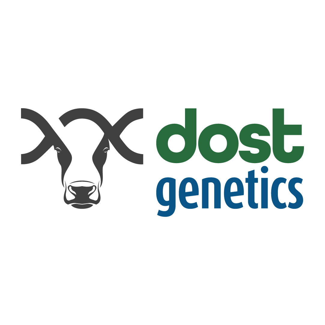 Dost Genetics | Yerli ve İthal Gebe Düve Satışı