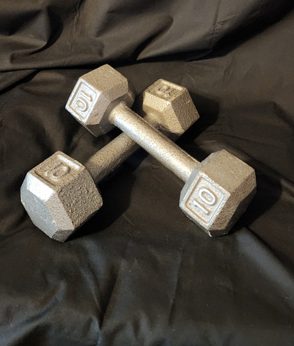 Ten Pound Bar Bell | vlhphotosplus