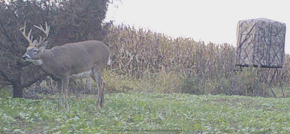 A Late October Warm Spell: Mother's Nature's Deer Hunting Curse