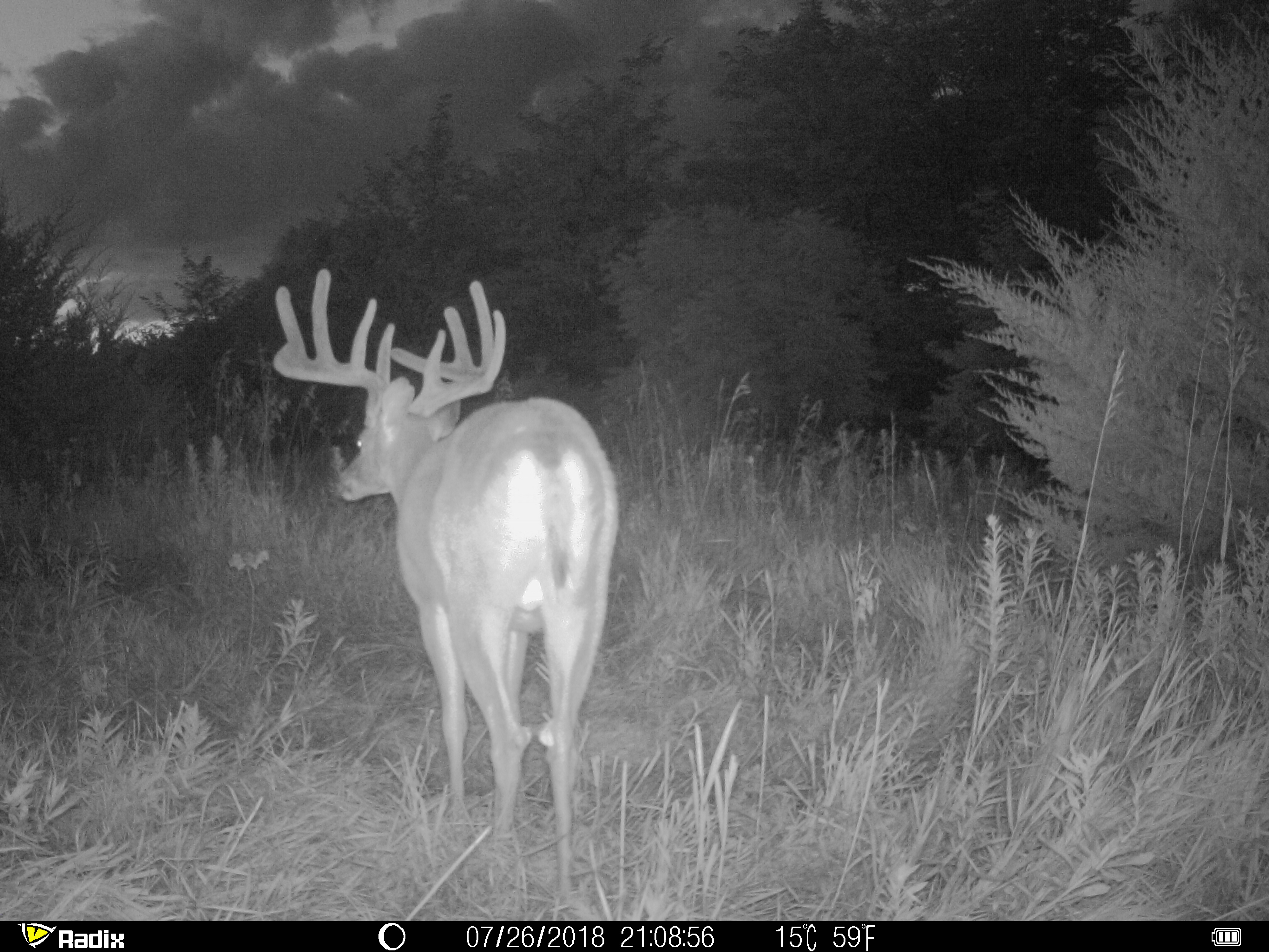 Prime Iowa Whitetail Hunts | MDL Outfitters