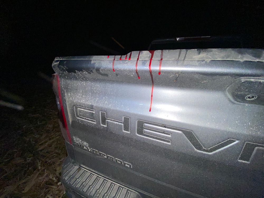 FULLY GUIDED HUNTS - Coming Soon!