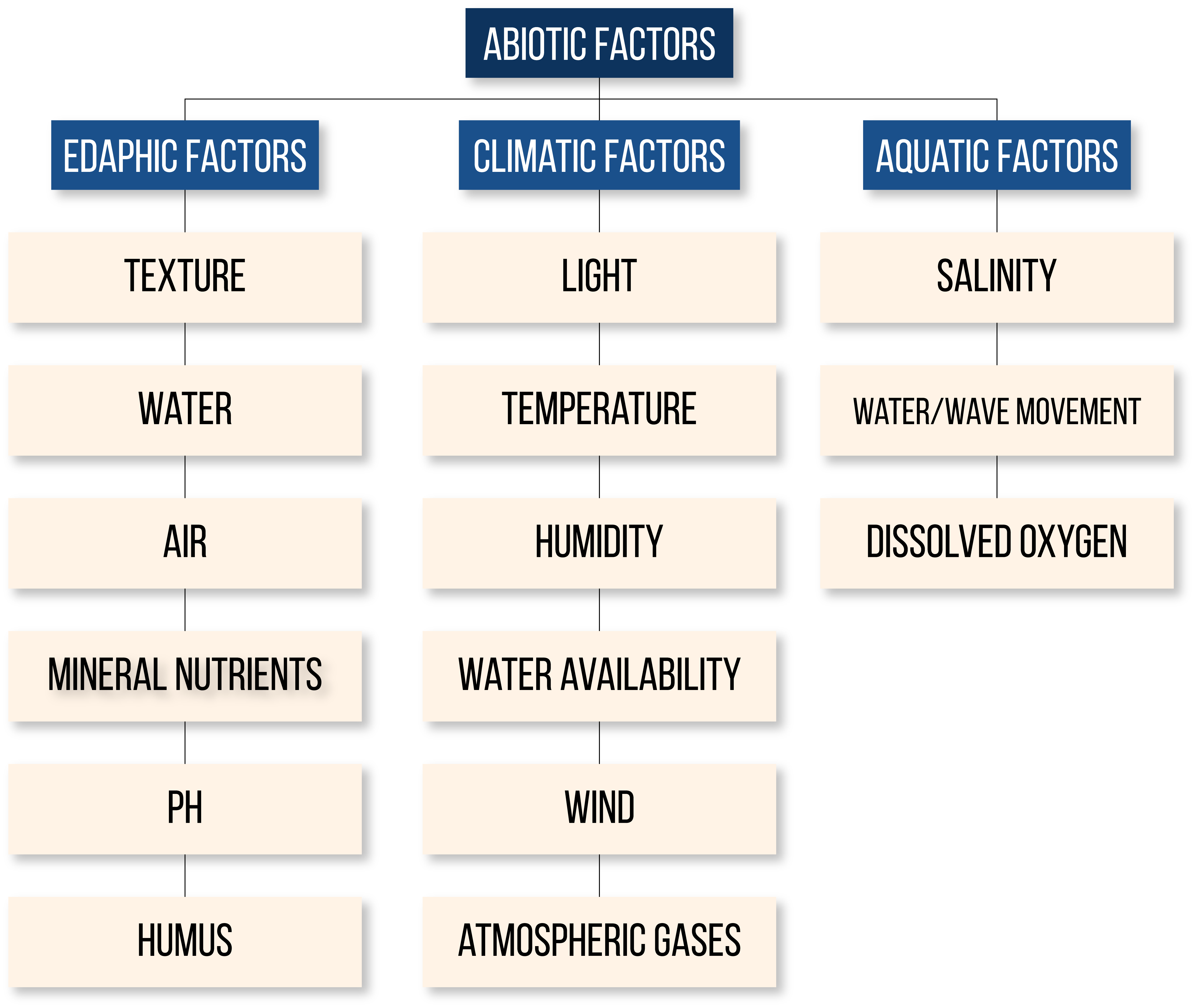 CSEC Biology: Ecological Factors