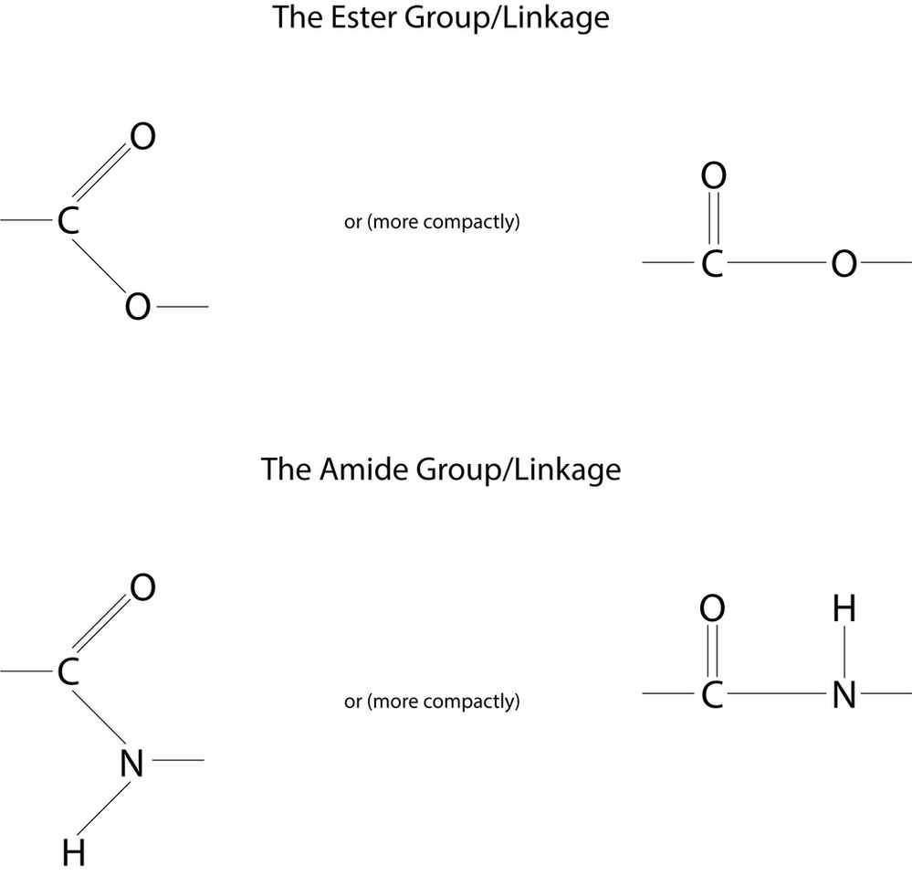 CSEC Chemistry: Polyamides and Proteins