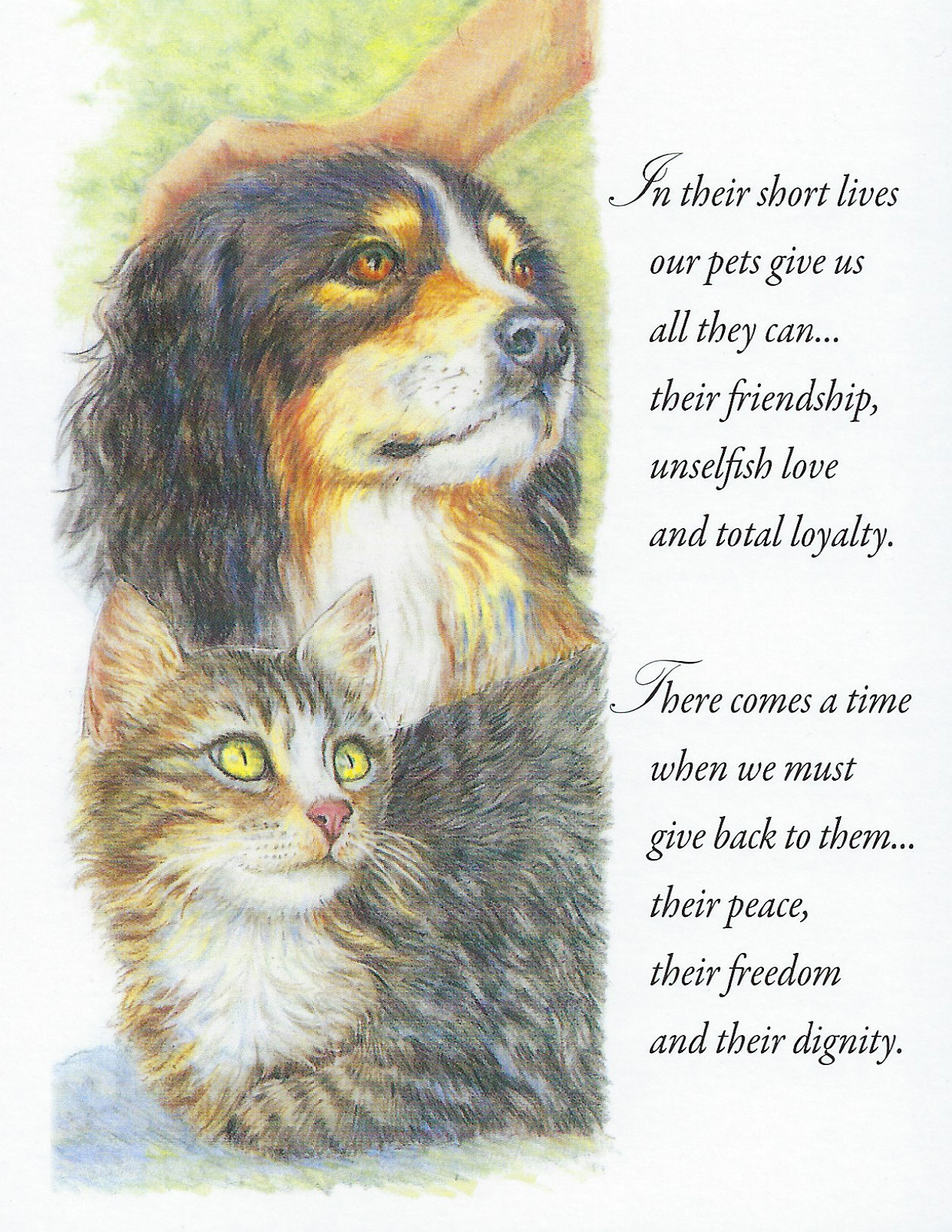 Veterinary Wisdom S81 Pet Sympathy Card Veterinary Wisdom S81 Pet Sympathy Card