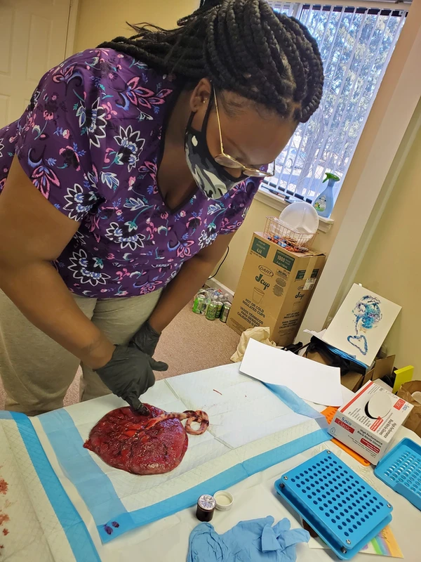 Placenta Preparation Course | WCPS