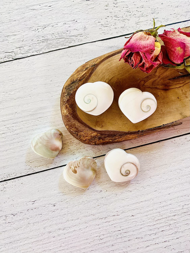 Shiva Shell Heart of Protection | Live True Healing
