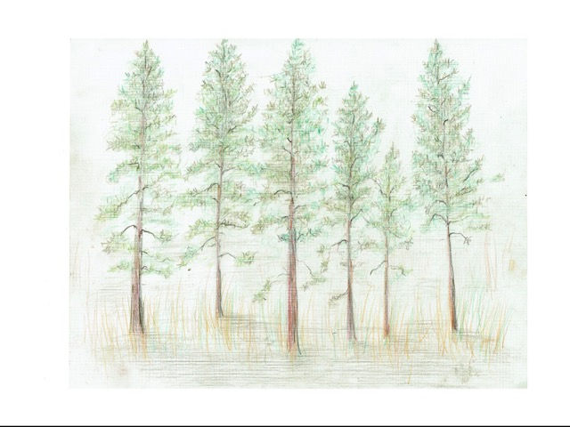 Entiat Community Historical Society | entiat community history museum ...