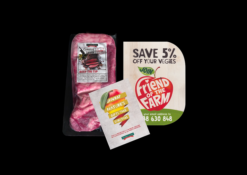 All Print Matters | Services