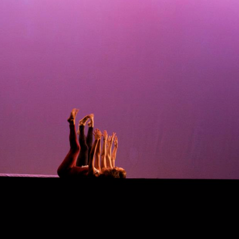 Gallery | Rebekah Wainwright D