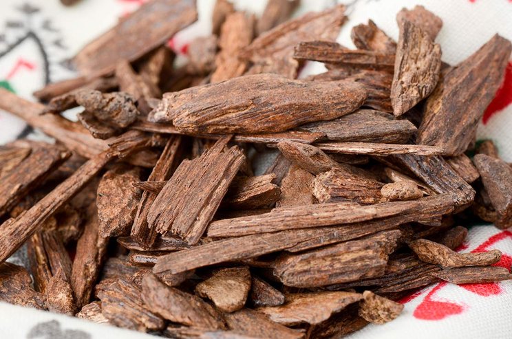 Agarwood / Gaharu Tea, the New Supertea?