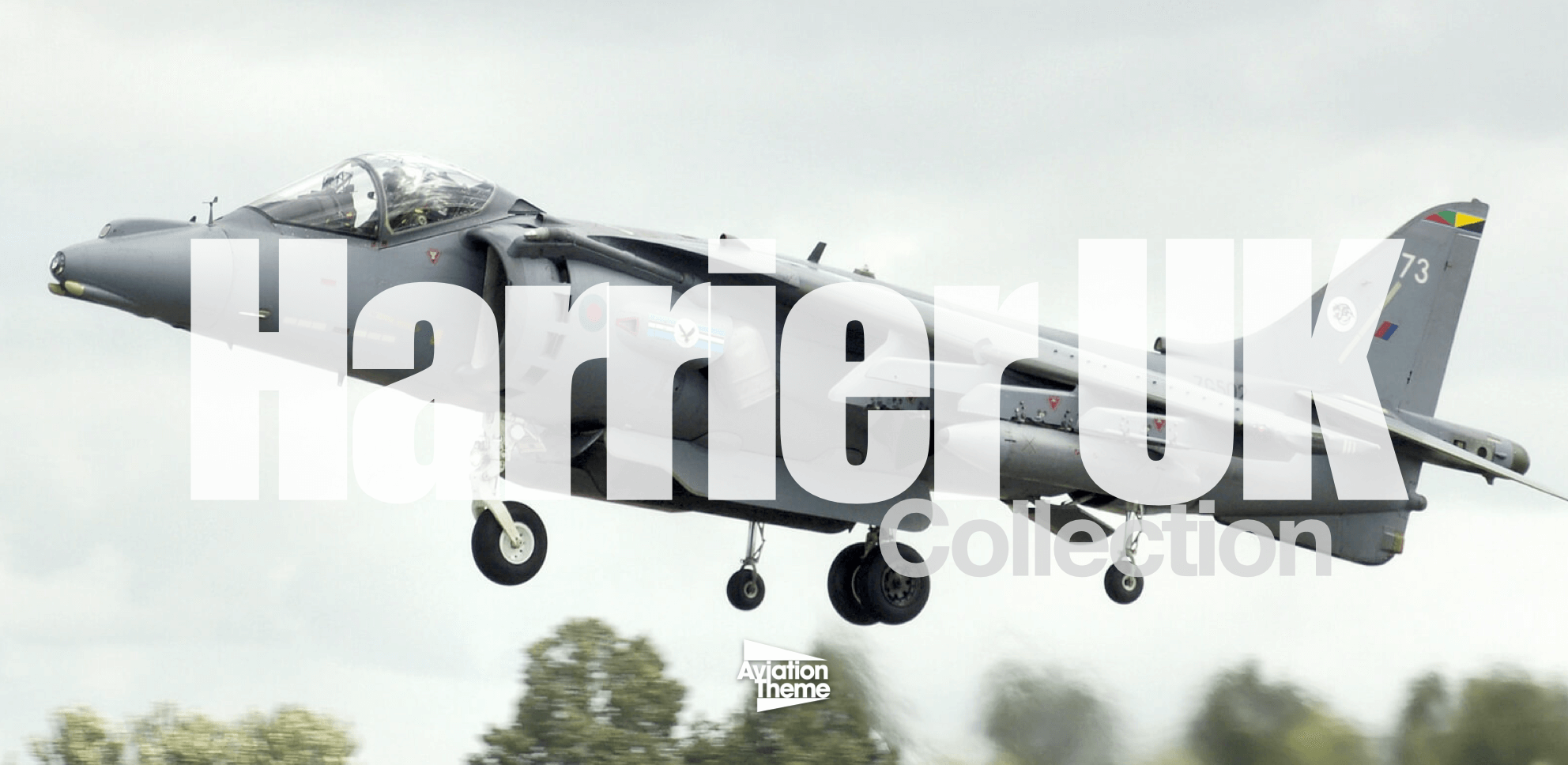 Harrier UK Aircraft & Squadrons Collection | Aviation Theme