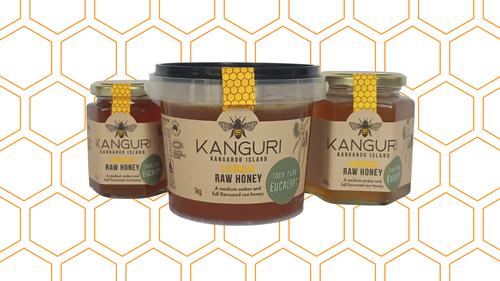 Kanguri - Value Pack Ligurian Raw Honey | Kanguri