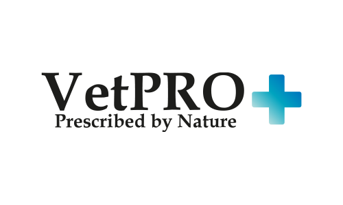 Unipets 宇宙集團 | 香港