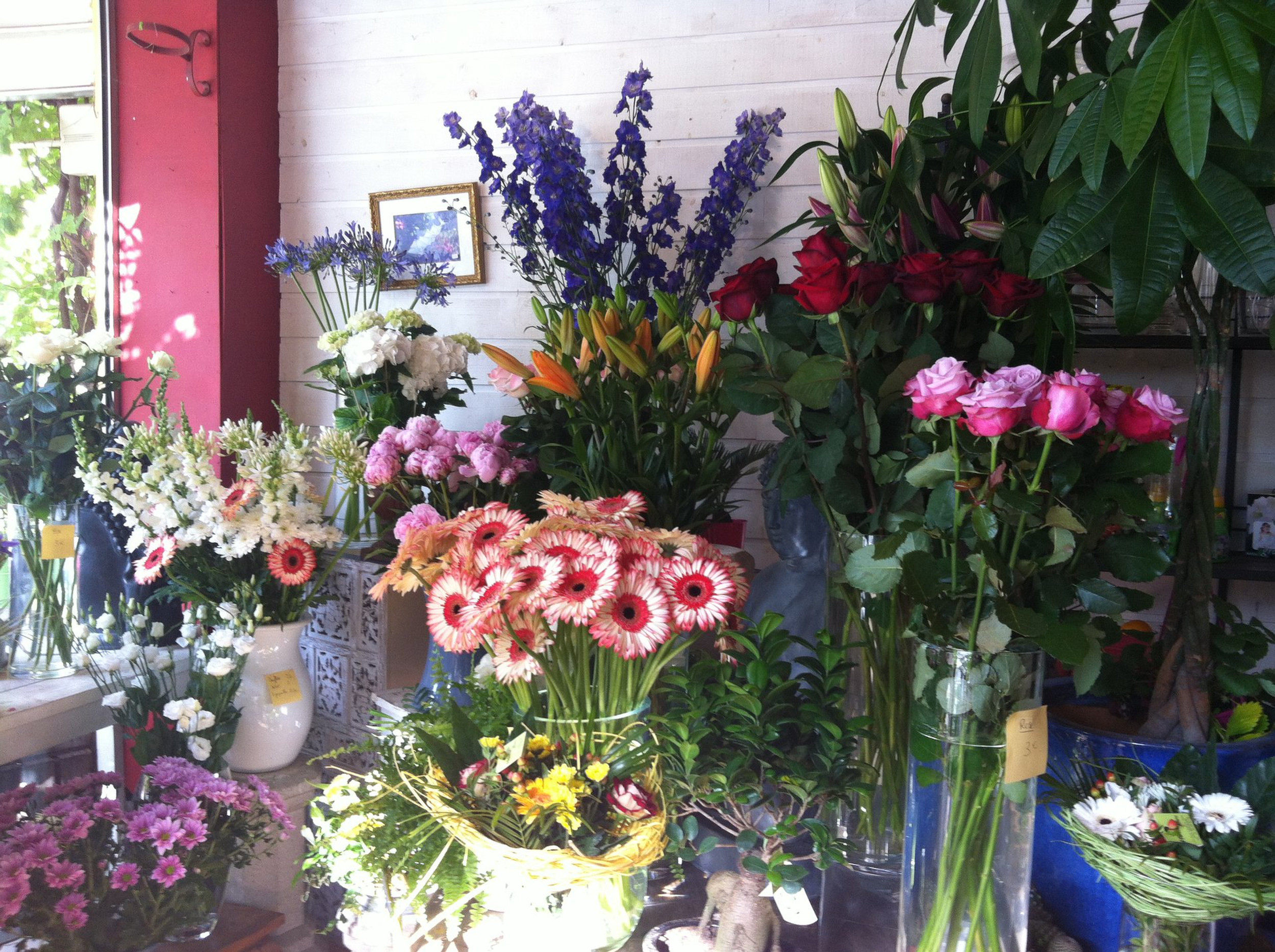 Frank Fleurs, Fleuriste Décorateur à Houilles 78