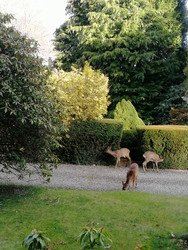 Home | Ard Darach Cottage