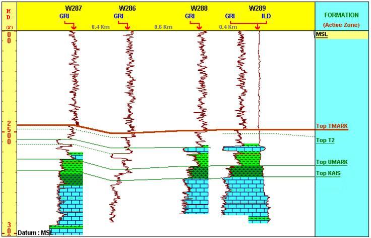 GeoScience Software | Well Correlations