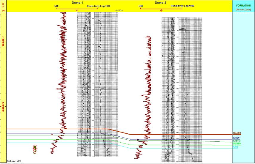 GeoScience Software | Well Correlations