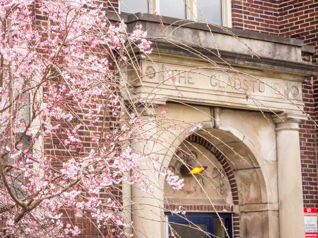 Our Team | Partners in Housing | Indianapolis Housing First