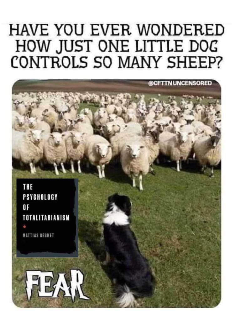 FRIDAY RAVE 4 - The Important Role of the Dissenting VoiceFriday Rave ...