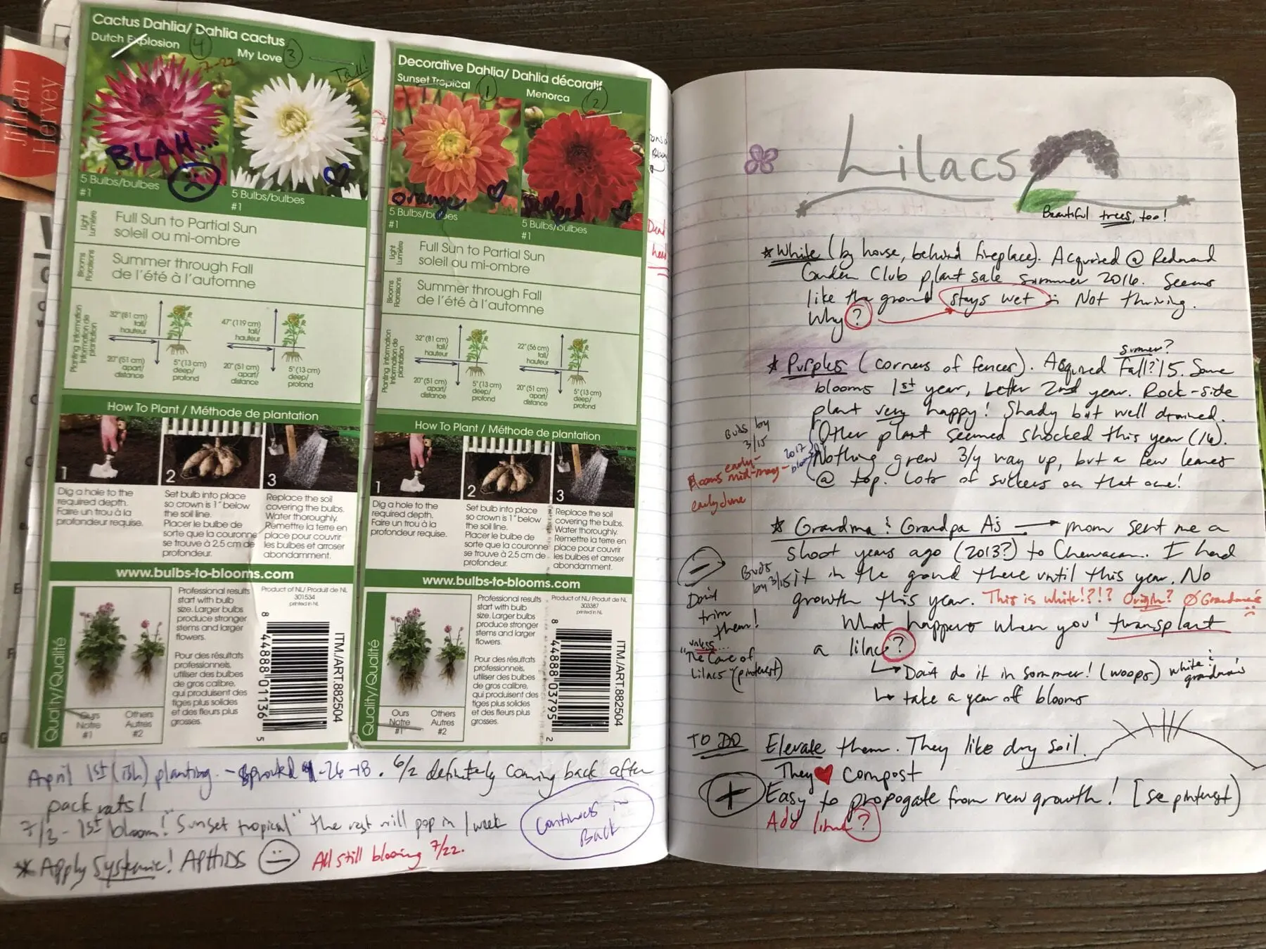 Creating a Garden Journal | Planter Box Garden