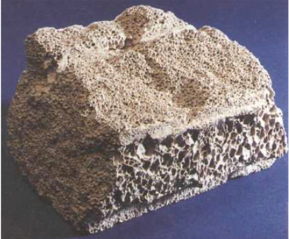 Reinforced Autoclaved Aerated Concrete (RAAC) planks in businesses