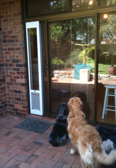 Patio Pet Door Inserts for Sliding Doors, Fully Lockable,Fast Delivery