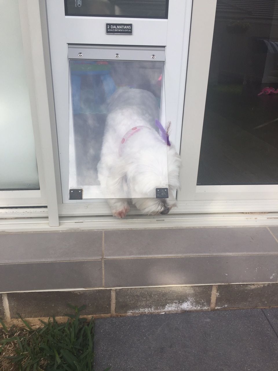 Patio Pet Door Inserts for Sliding Doors, Fully Lockable,Fast Delivery