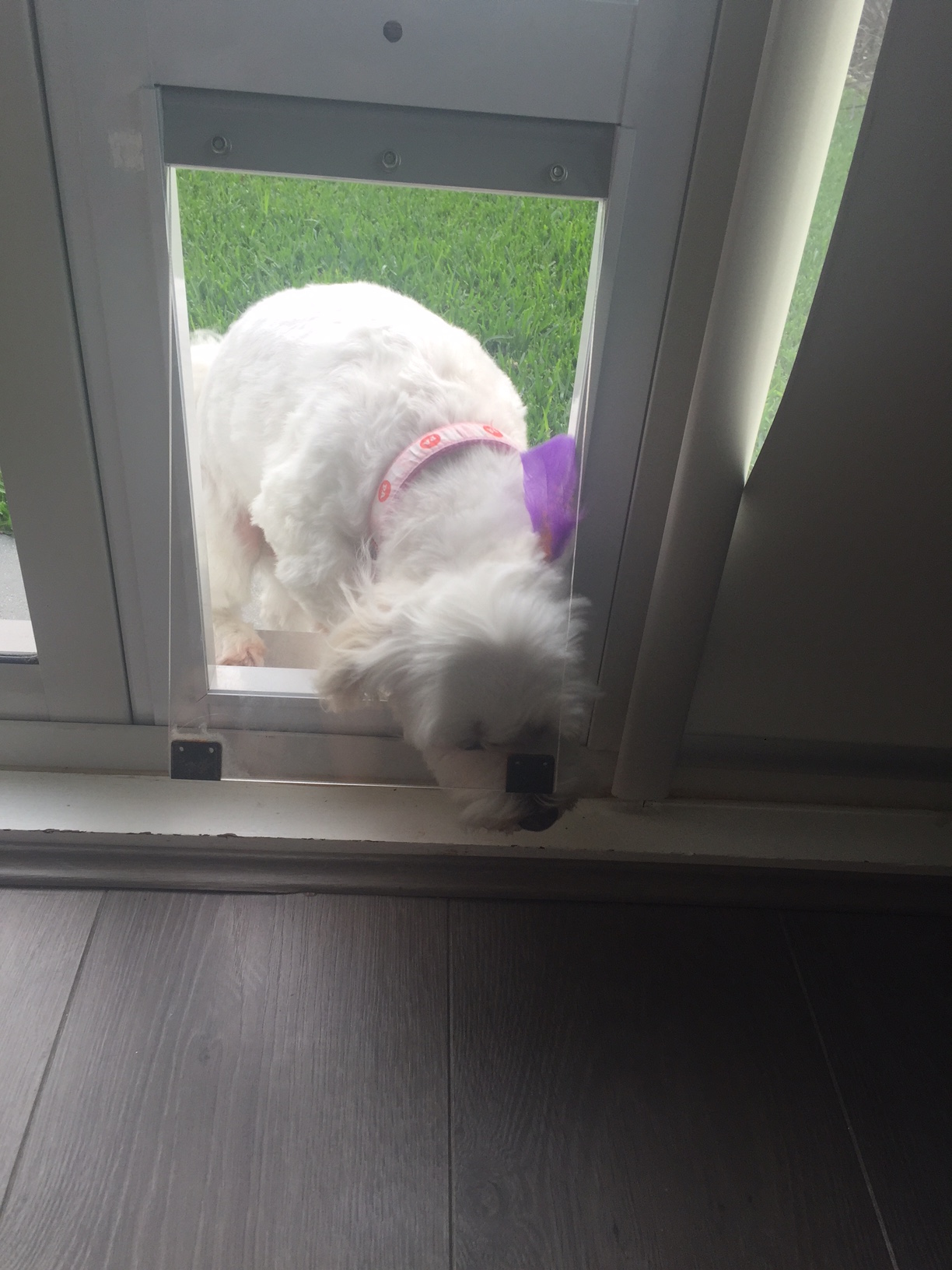 Patio Pet Door Inserts for Sliding Doors, Fully Lockable,Fast Delivery