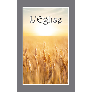 Français - L’Eglise | Dawn Bible Students