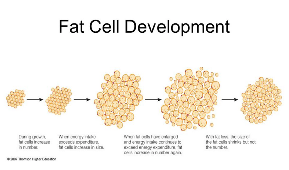 The “Whoosh” Effect: Burning fat and losing weight doesn’t happen ...