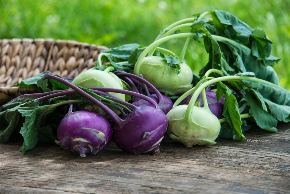 In Praise of Unloved Vegetables