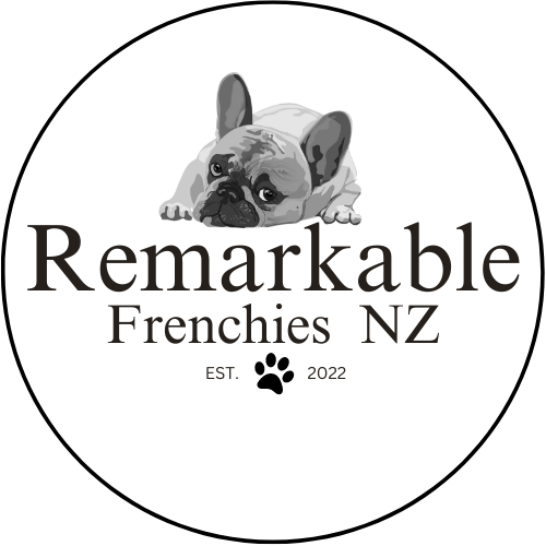 Rare Colours | Remarkable Frenchies