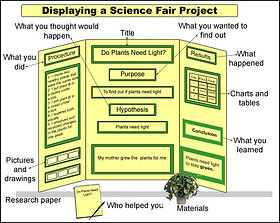 science hypothesis project