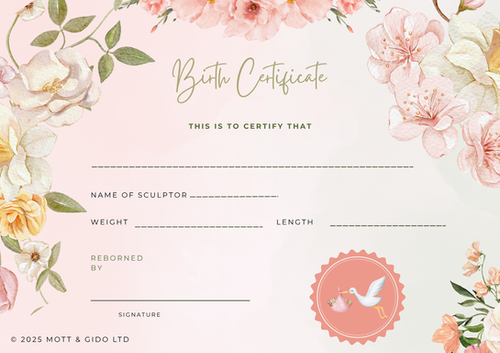 Birth Certificate Digital Download Pastel | Mott & Gido Ltd