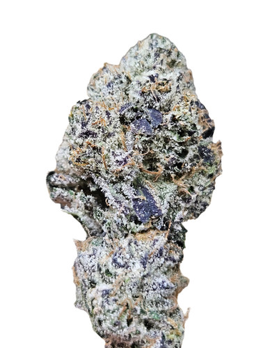 PURPLE RUNTZ - INDICA | Rare Stone OC