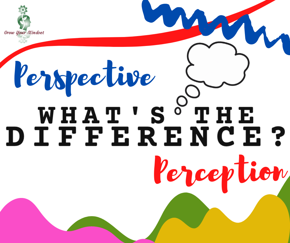 Why Perspective and Perception are important