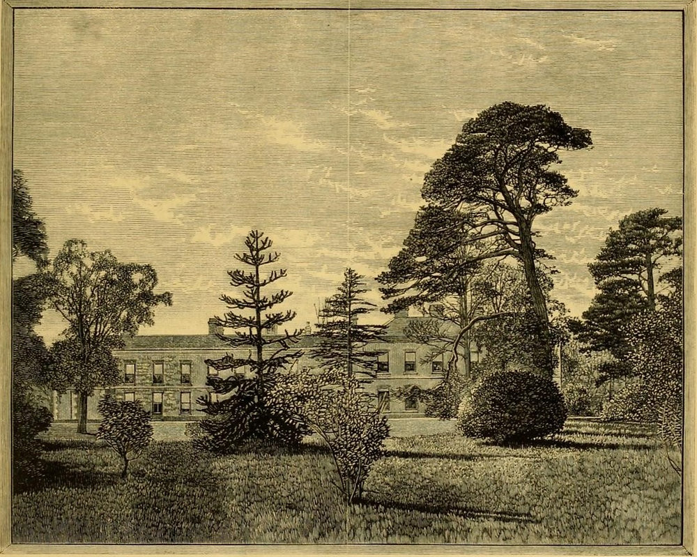 'Menabilly': Daphne du Maurier's real Cornish garden