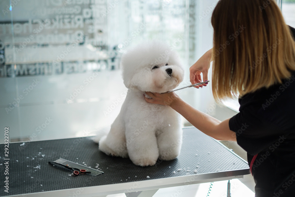 Services | Advance Pet Grooming