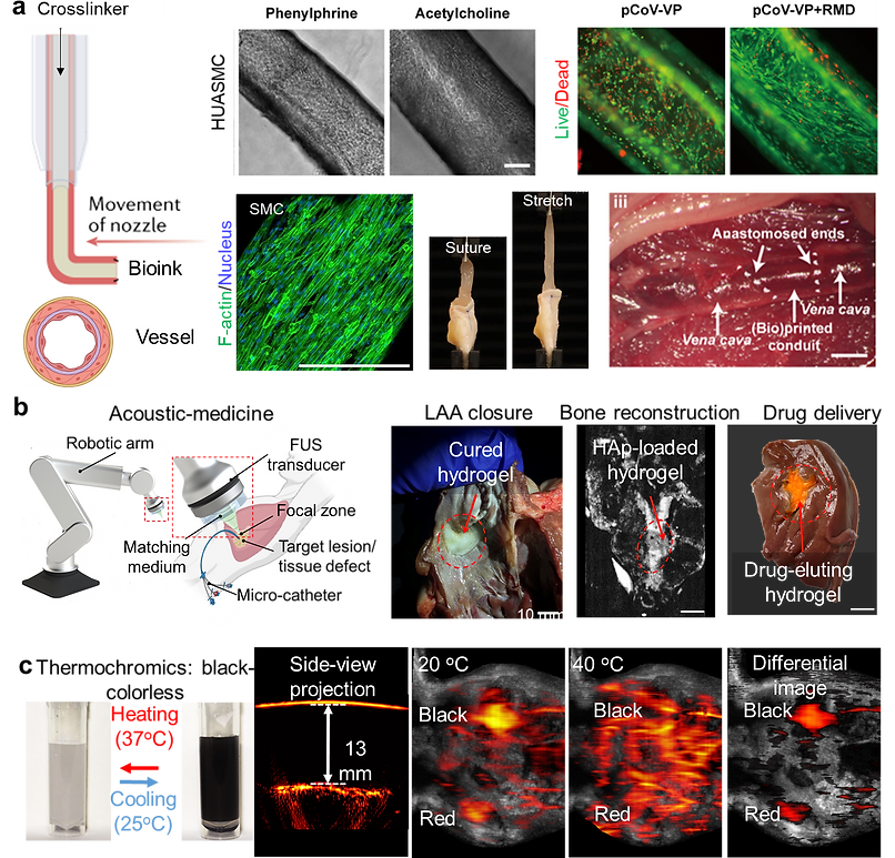 Multifunctional Soft (Bio)systems | xiaokuang homepage