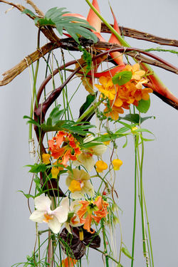 Floral Designers | tsvetparmy