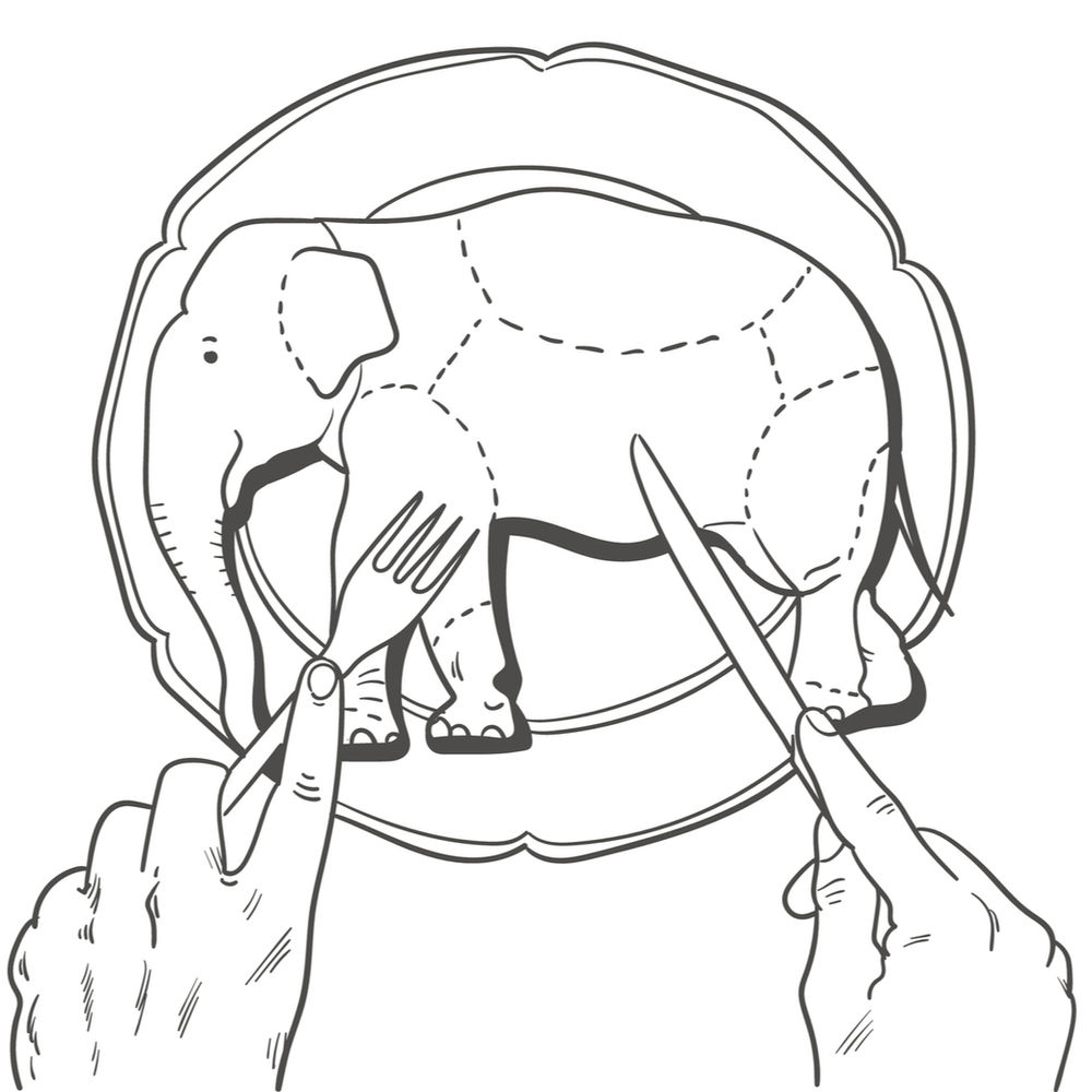 Eating An Elephant The First 90 Days Of A New ExecutiveDirector eating-an-elephant-the-first-90-days-of-a-new-executivedirector