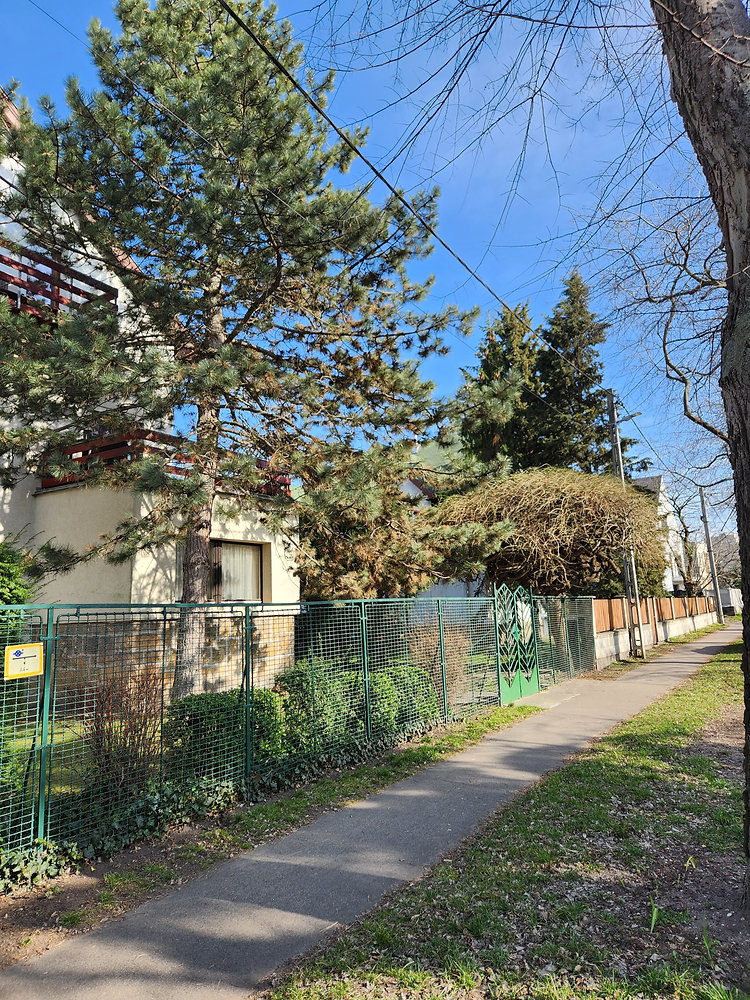 Poem - Tall Tree, Little Tree