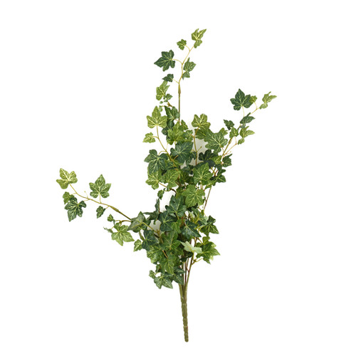MINI IVY BUSH X9 GREEN | Craftex