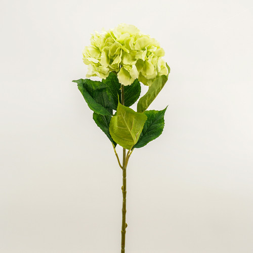 HYDRANGEA STEM 26IN GREEN | Craftex