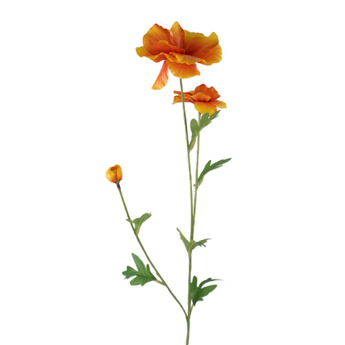 COSMO SPRAY 23" ( 2 COLORS ) | Craftex