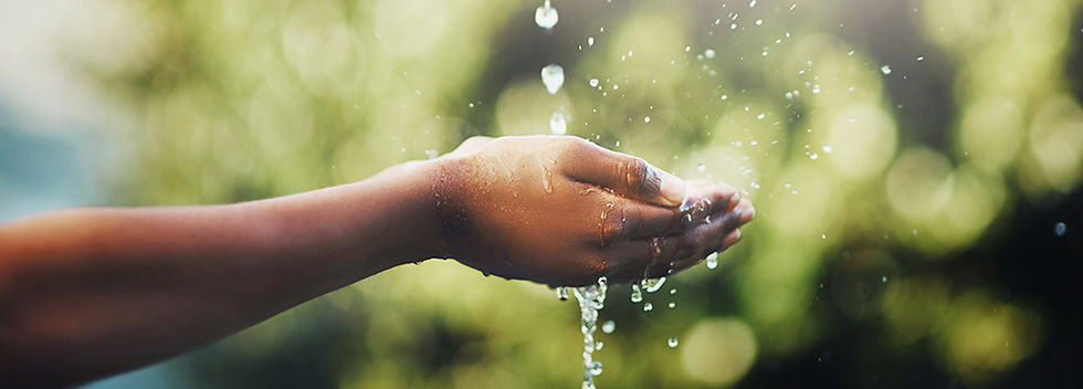 Environmental Program Support | Tellus Civic Science