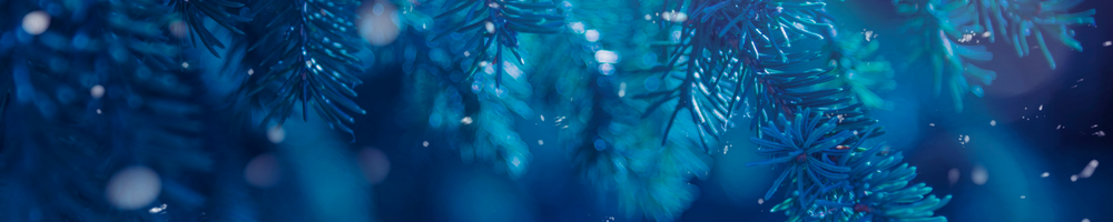 Advent Calendar Rotary Kenilworth | Kenilworth Advent Calendar