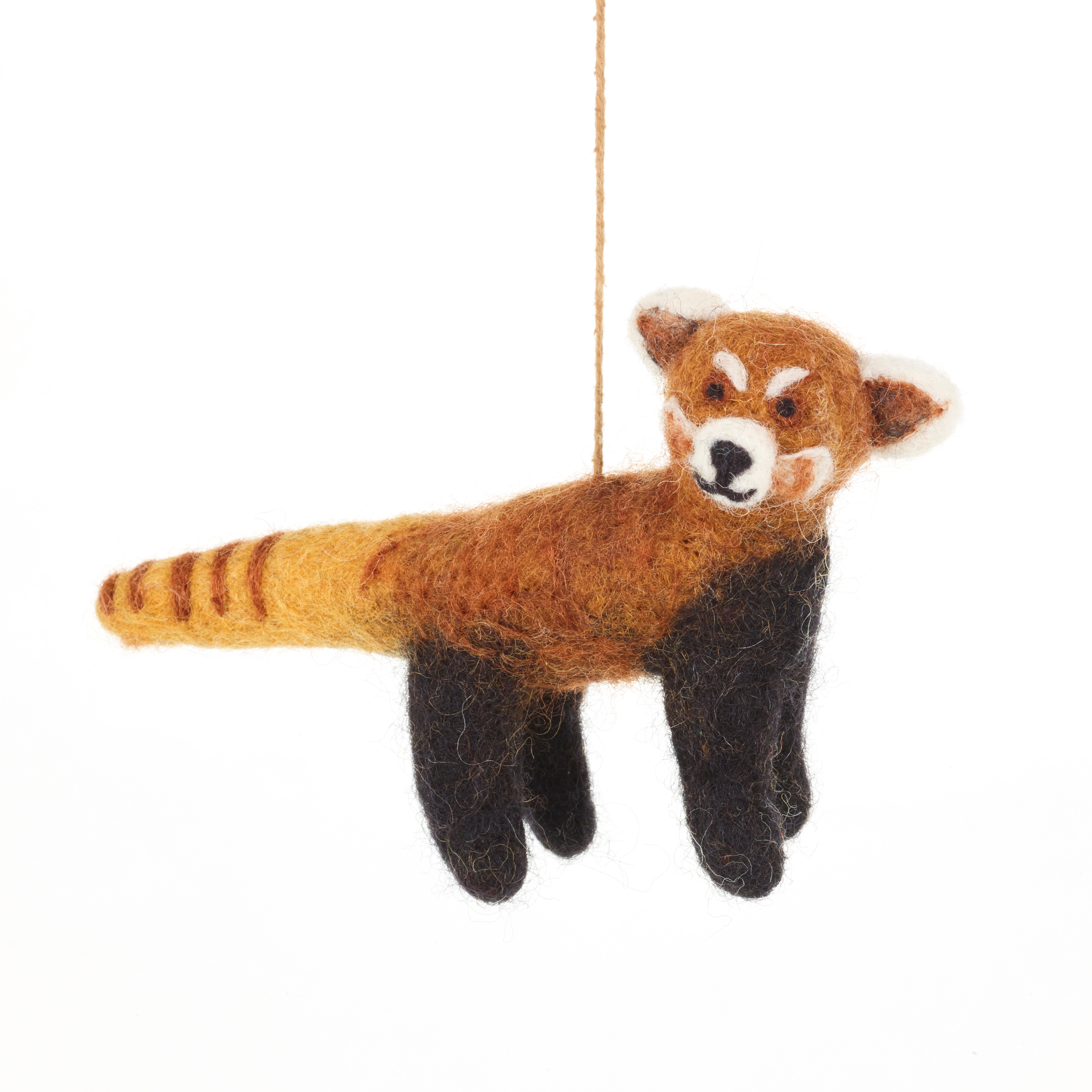 miranda-the-red-panda