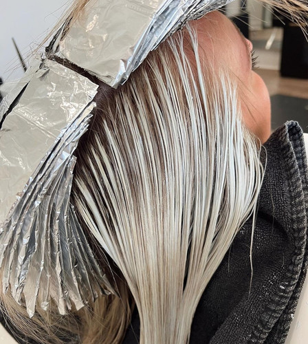 Highlights | Sheek Hair